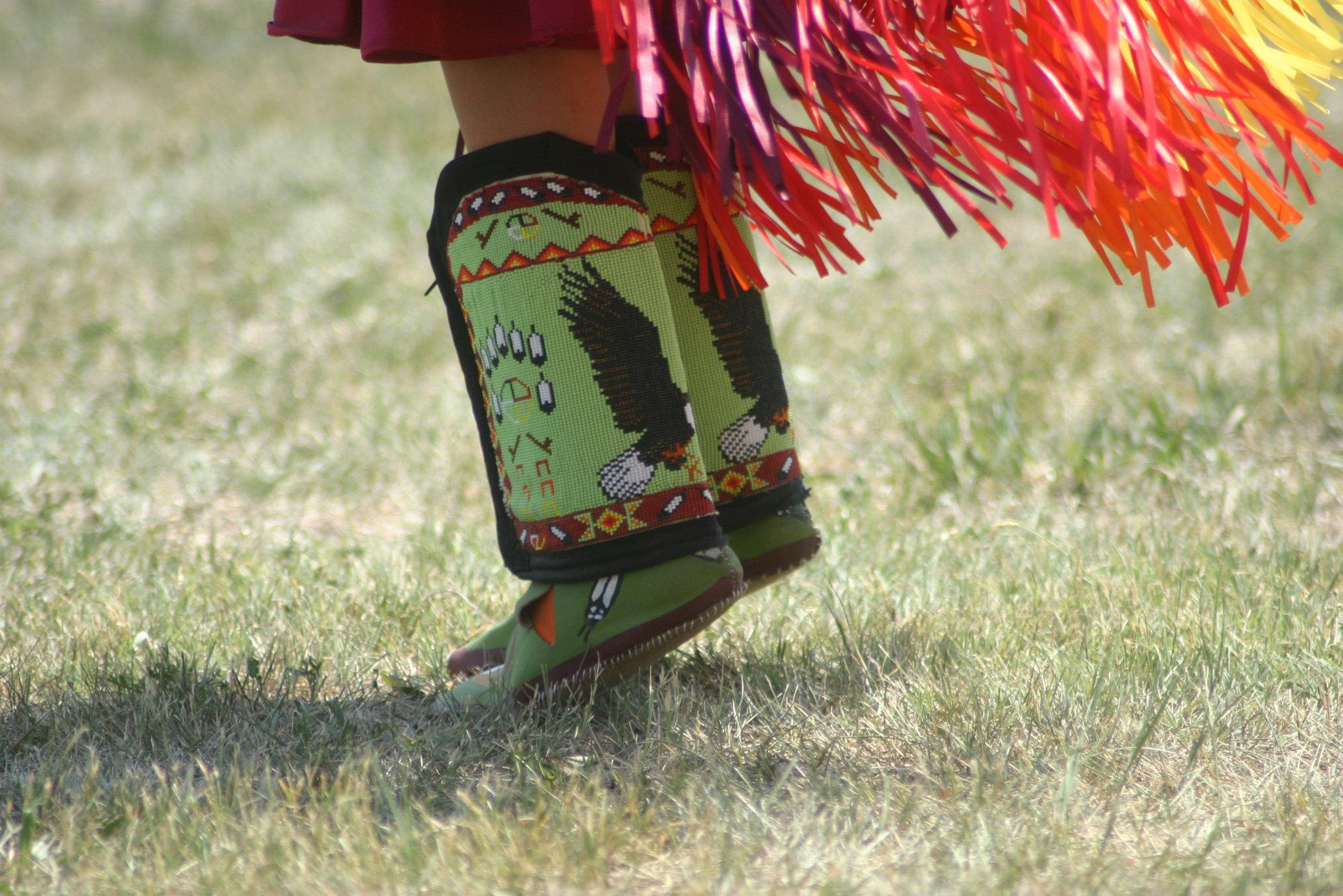 Other Ways to Support - Seventh Generation Fund for Indigenous Peoples