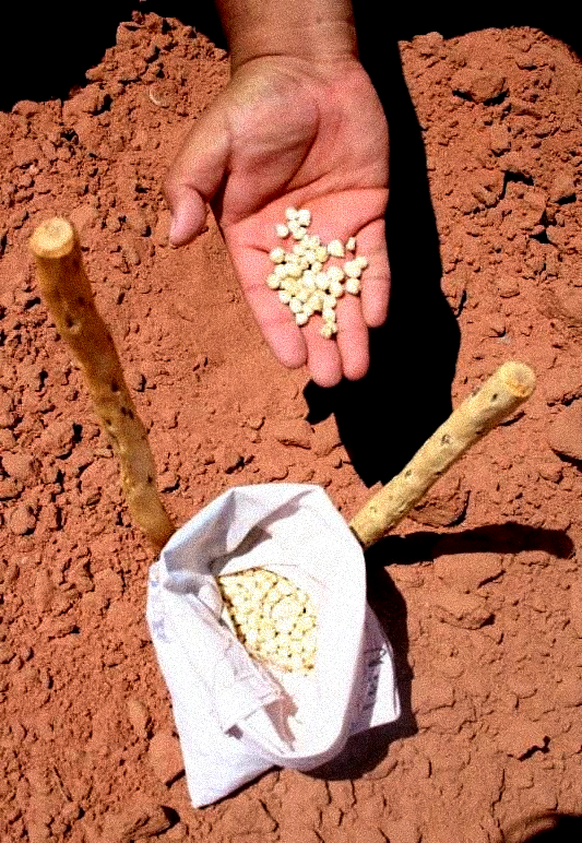 Become a Sustaining Donor - Seventh Generation Fund for Indigenous Peoples